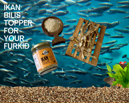 Barkery Oven: Healthier Choice for Your Furkids Since 2011